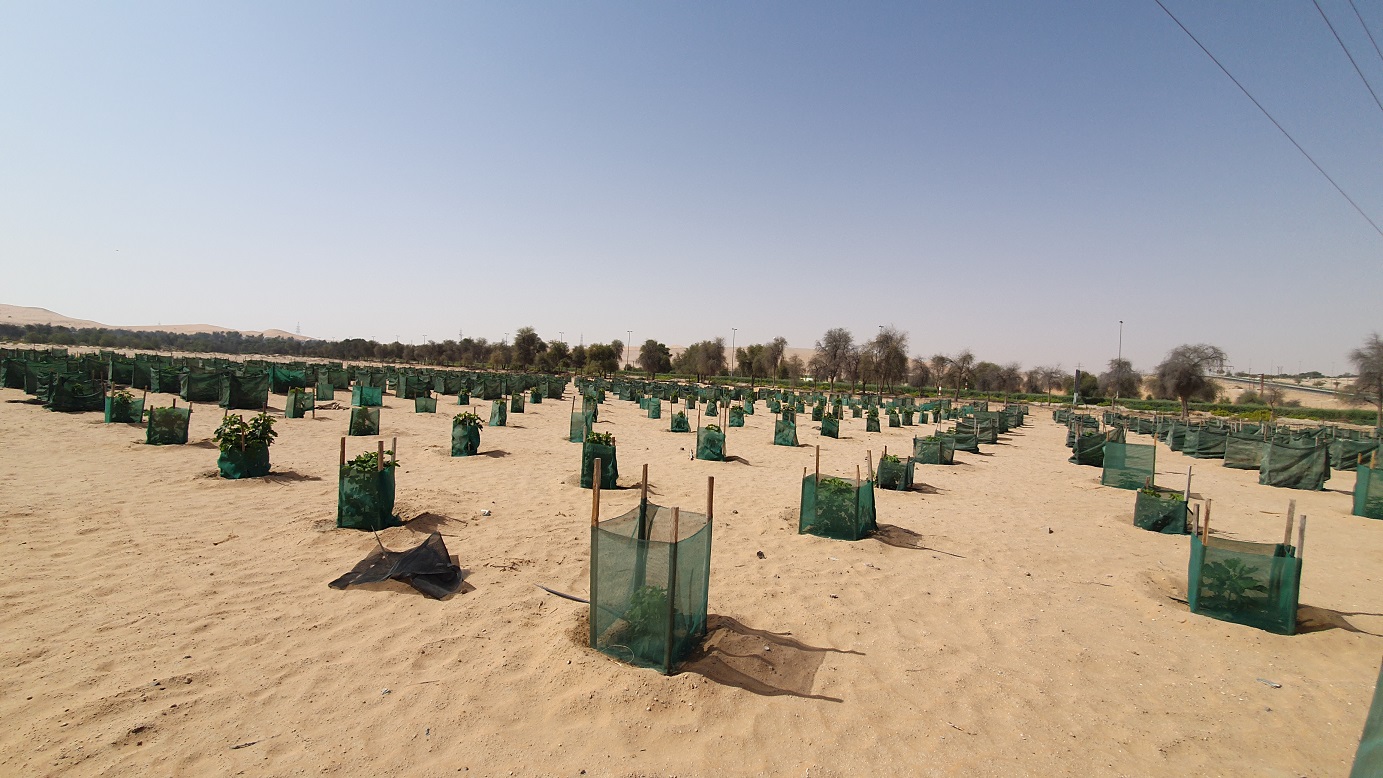 IMECO - International Mechanical & Electrical Company